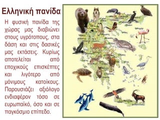 ΠΑΝΙΔΑ | PPT