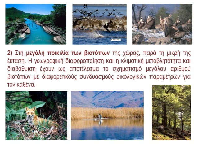 ΠΑΝΙΔΑ | PPT