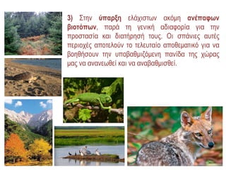 ΠΑΝΙΔΑ | PPT