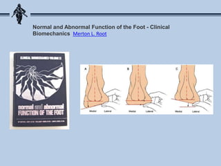 Стопа и стельки | PPT