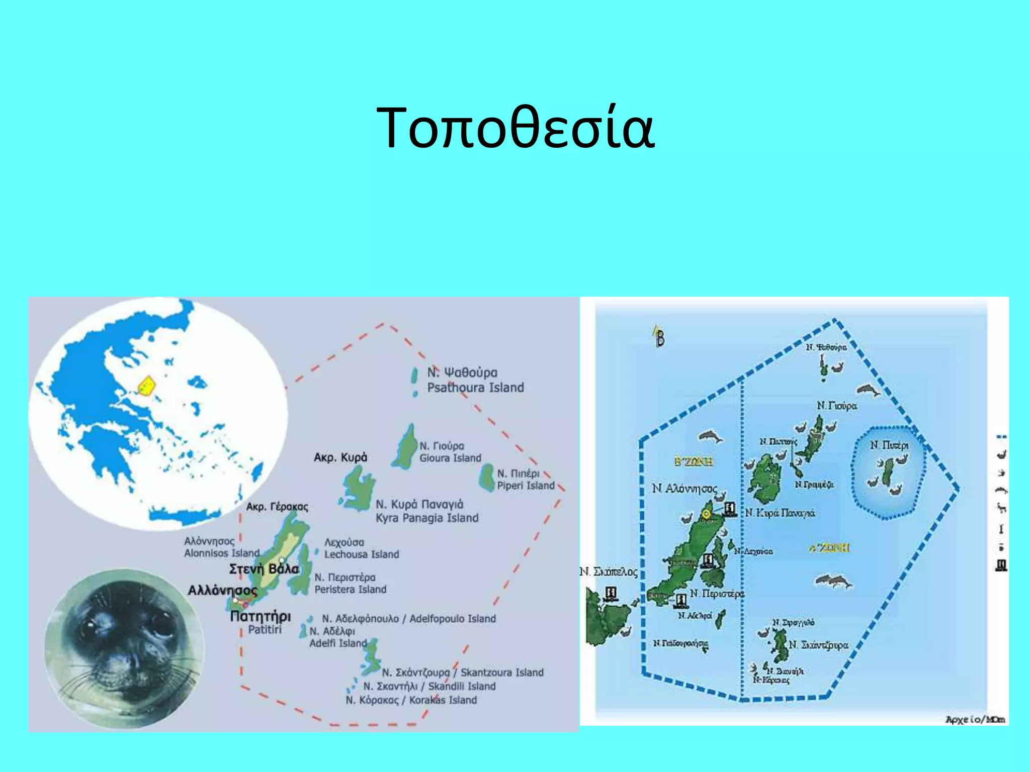 θαλάσσιο πάρκο σποράδων βαλια και δήμητρα | PPTX