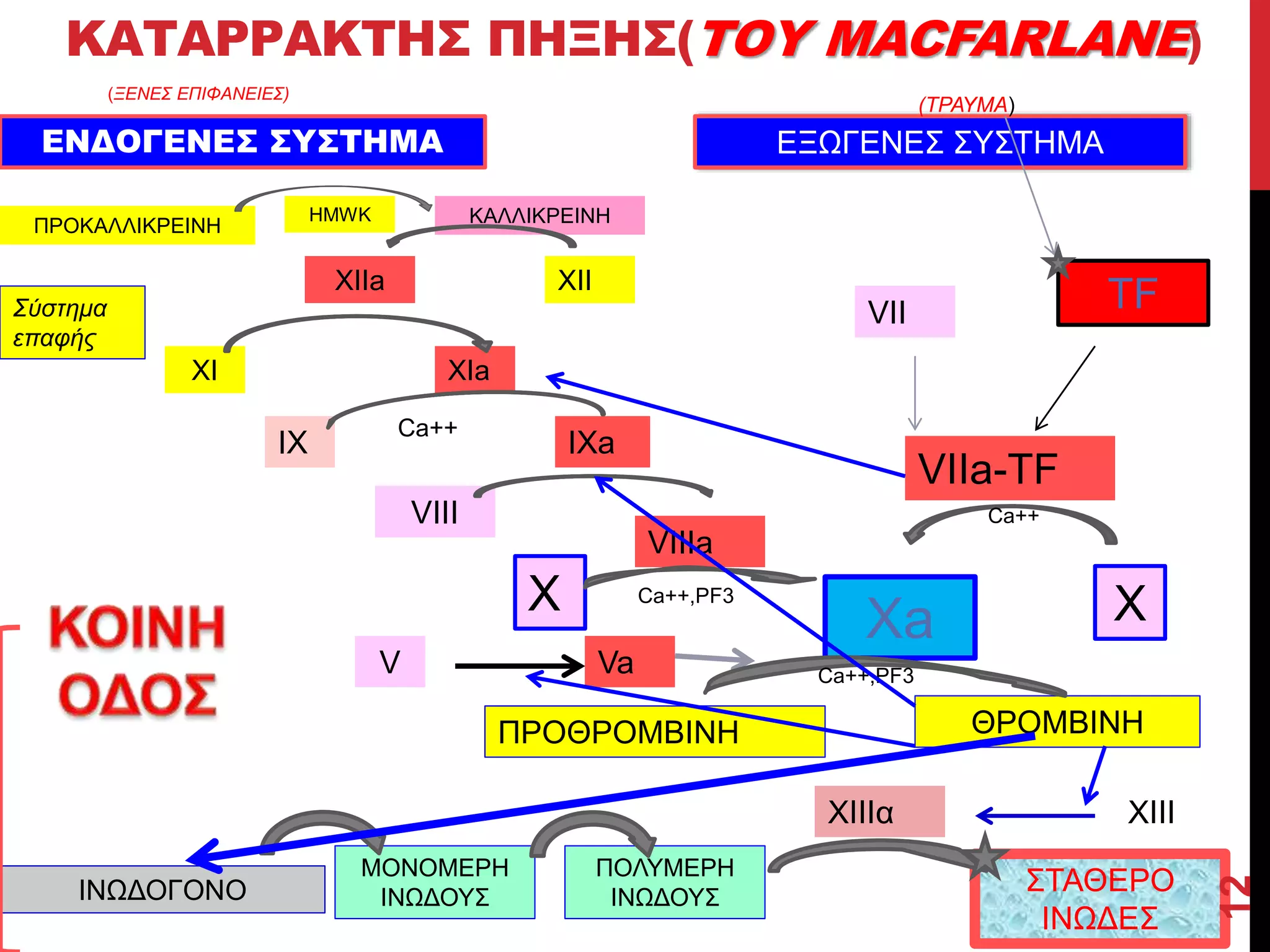 ΚΑΤΑΤΟΠΙΣΤΙΚΕΣ ΔΟΚΙΜΑΣΙΕΣ ΑΙΜΟΣΤΑΣΗΣ | PPTX