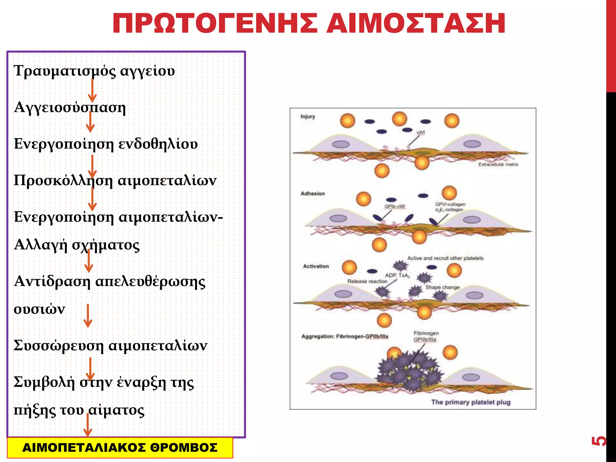 ΚΑΤΑΤΟΠΙΣΤΙΚΕΣ ΔΟΚΙΜΑΣΙΕΣ ΑΙΜΟΣΤΑΣΗΣ | PPTX