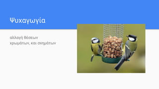 κατοικίδια πτηνά | PPTX