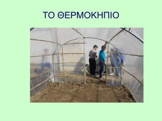 Ο ΔΡΟΣΕΡΌΣ ΜΑΣ ΛΑΧΑΝΟΚΗΠΟΣ | PPT