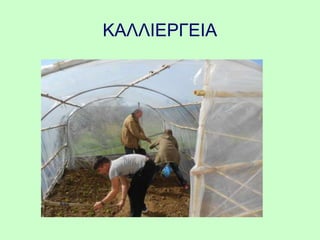 Ο ΔΡΟΣΕΡΌΣ ΜΑΣ ΛΑΧΑΝΟΚΗΠΟΣ | PPT