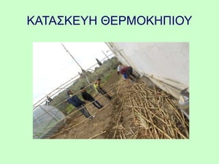 Ο ΔΡΟΣΕΡΌΣ ΜΑΣ ΛΑΧΑΝΟΚΗΠΟΣ | PPT