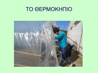 Ο ΔΡΟΣΕΡΌΣ ΜΑΣ ΛΑΧΑΝΟΚΗΠΟΣ | PPT