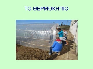 Ο ΔΡΟΣΕΡΌΣ ΜΑΣ ΛΑΧΑΝΟΚΗΠΟΣ | PPT