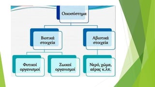 parousiash 1a | PPT
