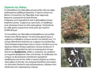 Η σημασία και η αναγκαιότητα του αστικού και περιαστικού πρασίνου στις ...