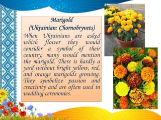 Проект "The symbolism of Ukrainian flowers" | PPTX