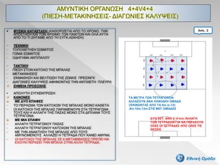 εγχειρίδιο εθνικής | PPT