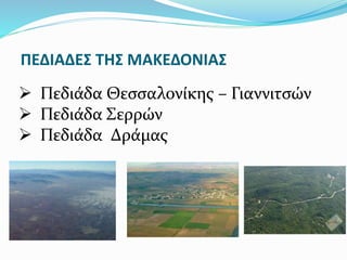 Μαθαίνουμε για την Μακεδονία | PPT