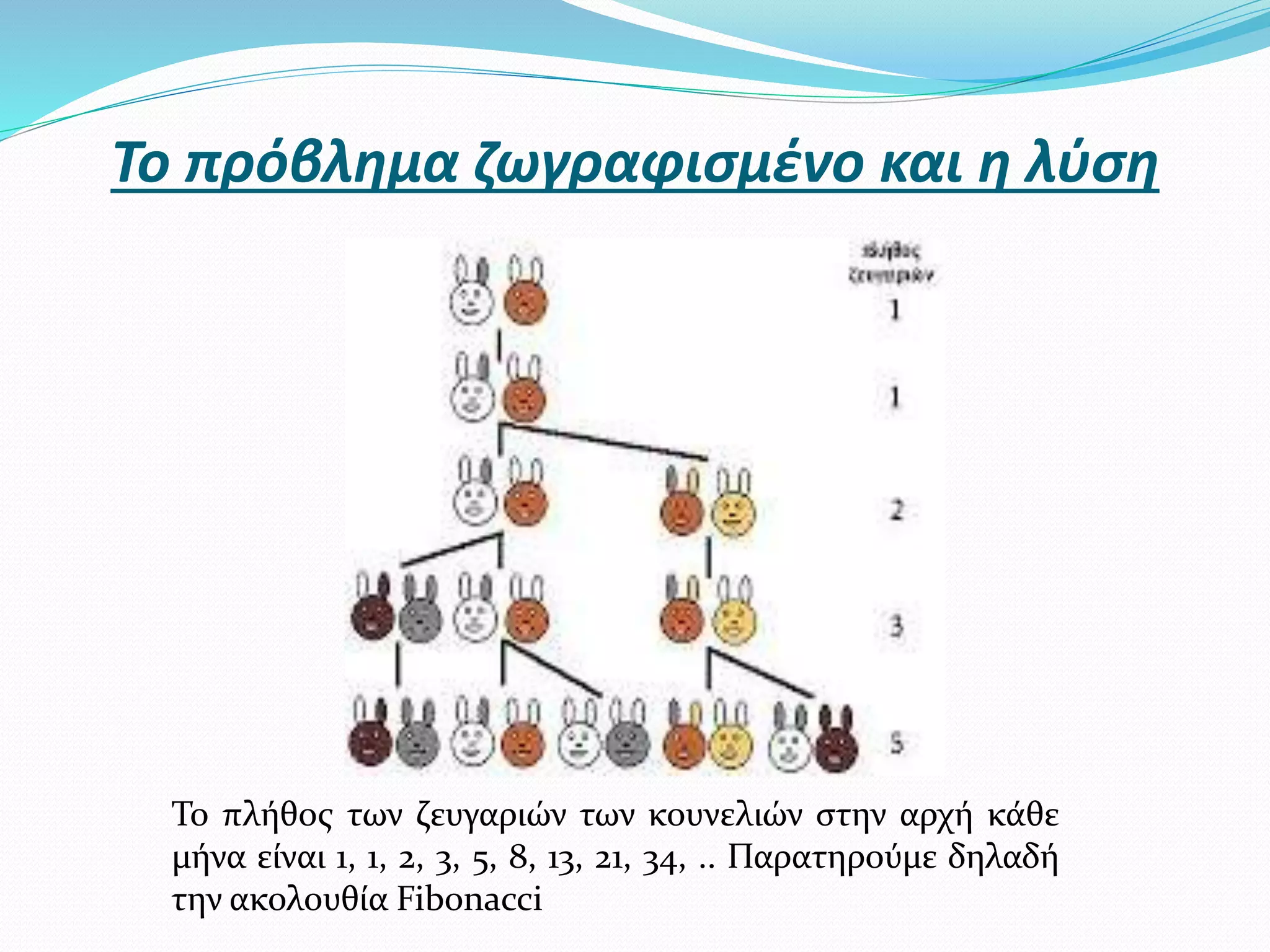 Η αρμονία των Μαθηματικών στη φύση | PPT