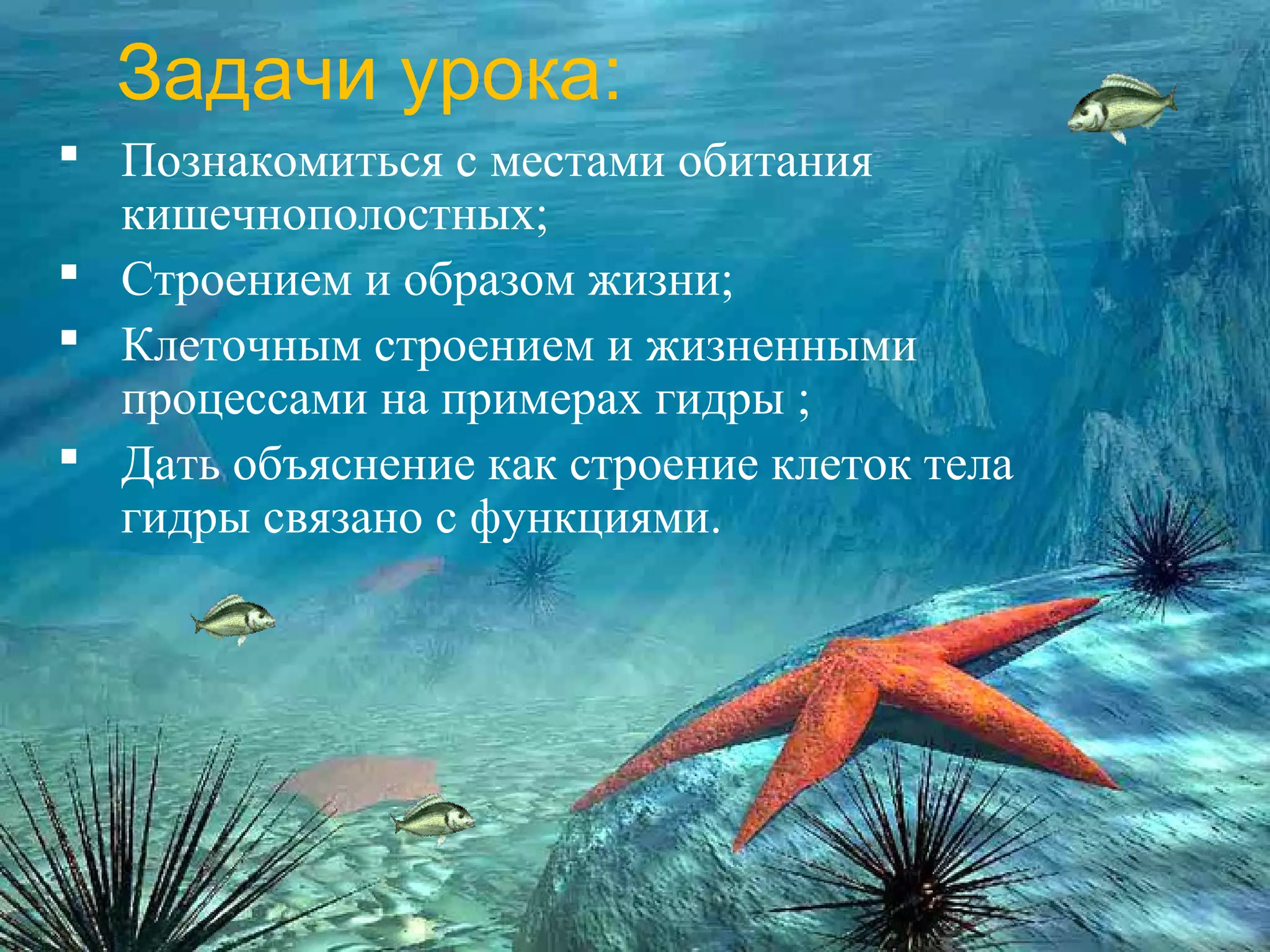 многоклеточные животные | PPT