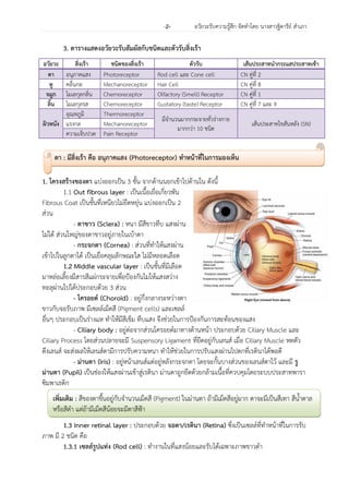 อวัยวะรับความรู้สึก | PDF
