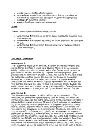 του νεκρού αδελφού | DOCX