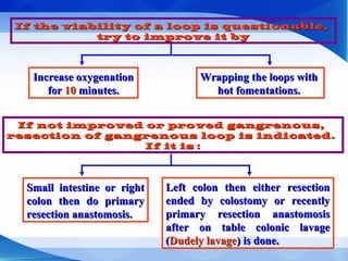 Intestinal Obstruction 1 | PPT