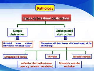 Intestinal Obstruction 1 | PPT
