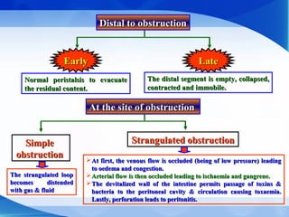 Intestinal Obstruction 1 | PPT
