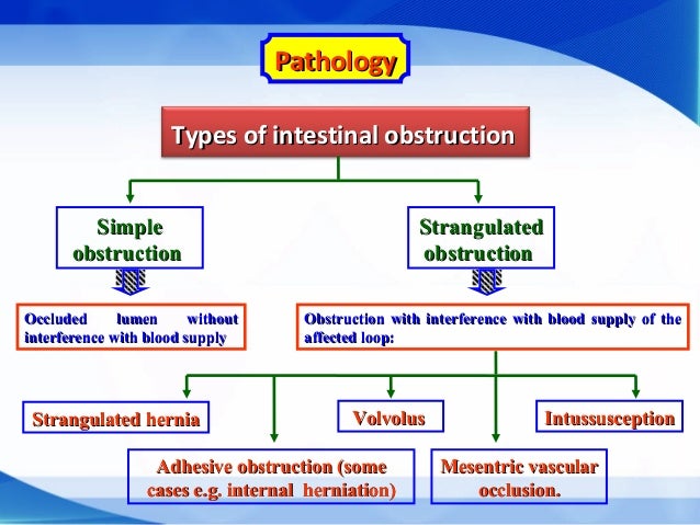 Intestinal Obstruction 1