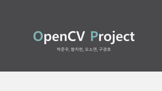 OpenCV 프로젝트 2016 1학기 최종발표 | PPT
