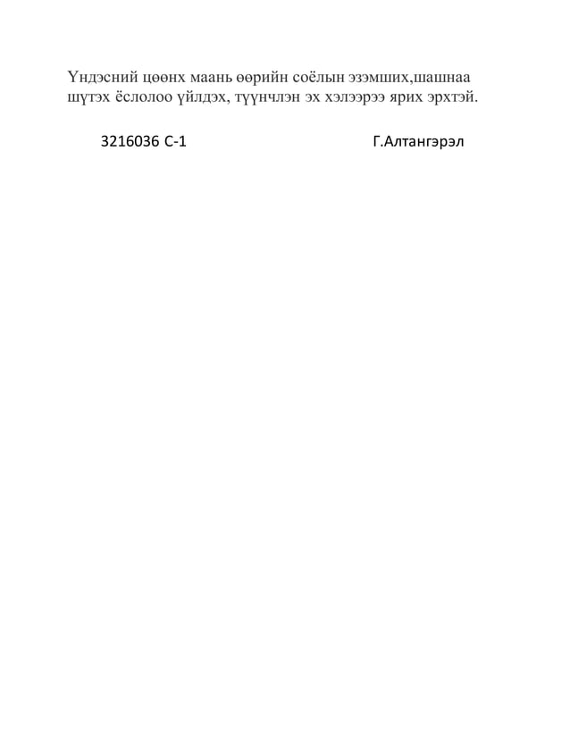 хүний эрх гэж юу Docx