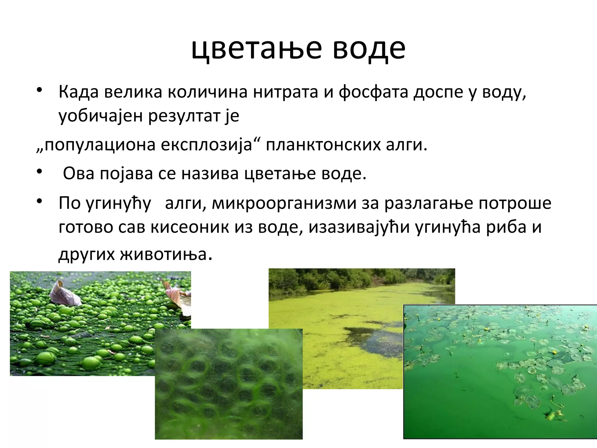 VODA, ZAGAĐIVANJE VODE I MERE ZAŠTITE | PPT
