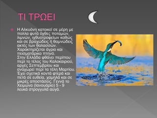 Η αλκυόνη | PPT