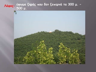 γεωγραφικοί όροι ξηράς και θάλασσας | PPTX