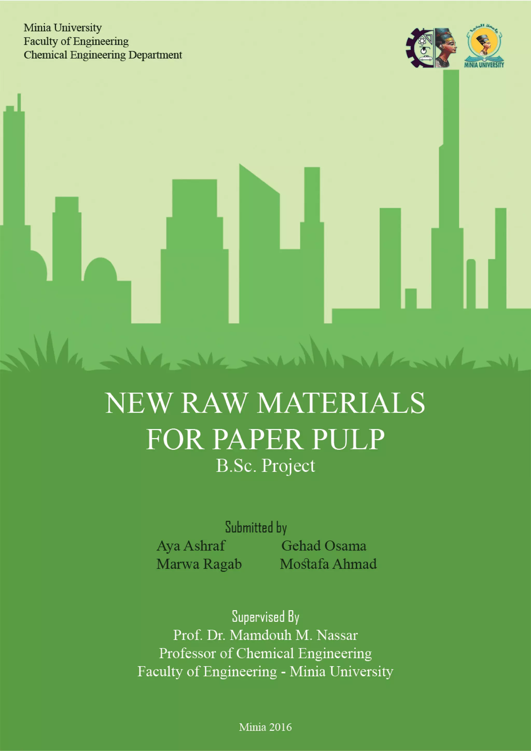 NEW RAW MATERIALS FOR PAPER PULP (the book) | PDF