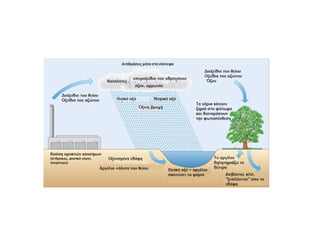 ΌΞΙΝΗ ΒΡΟΧΉ | PPT