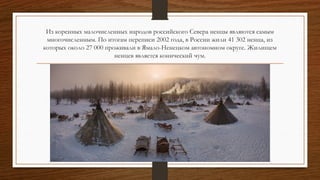 Ненцы | PPT