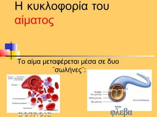 η κυκλοφορια του αιματοσ | PPT