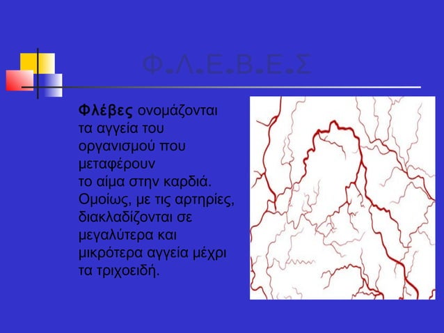 η κυκλοφορια του αιματοσ | PPT