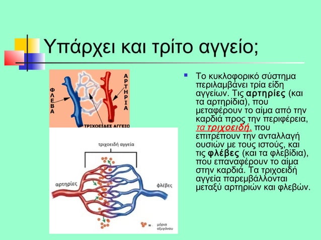 η κυκλοφορια του αιματοσ | PPT