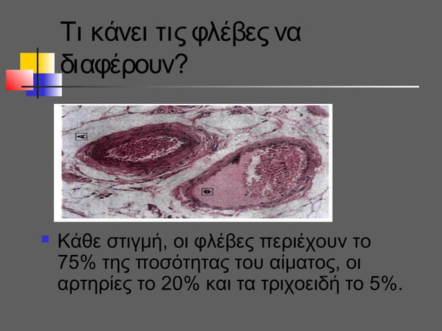 η κυκλοφορια του αιματοσ | PPT