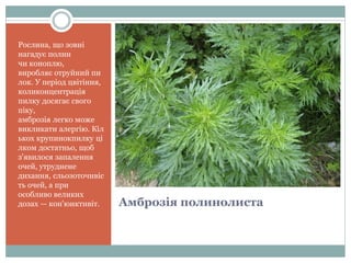 отруйні рослини україни | PPTX