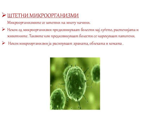 микроорганизми