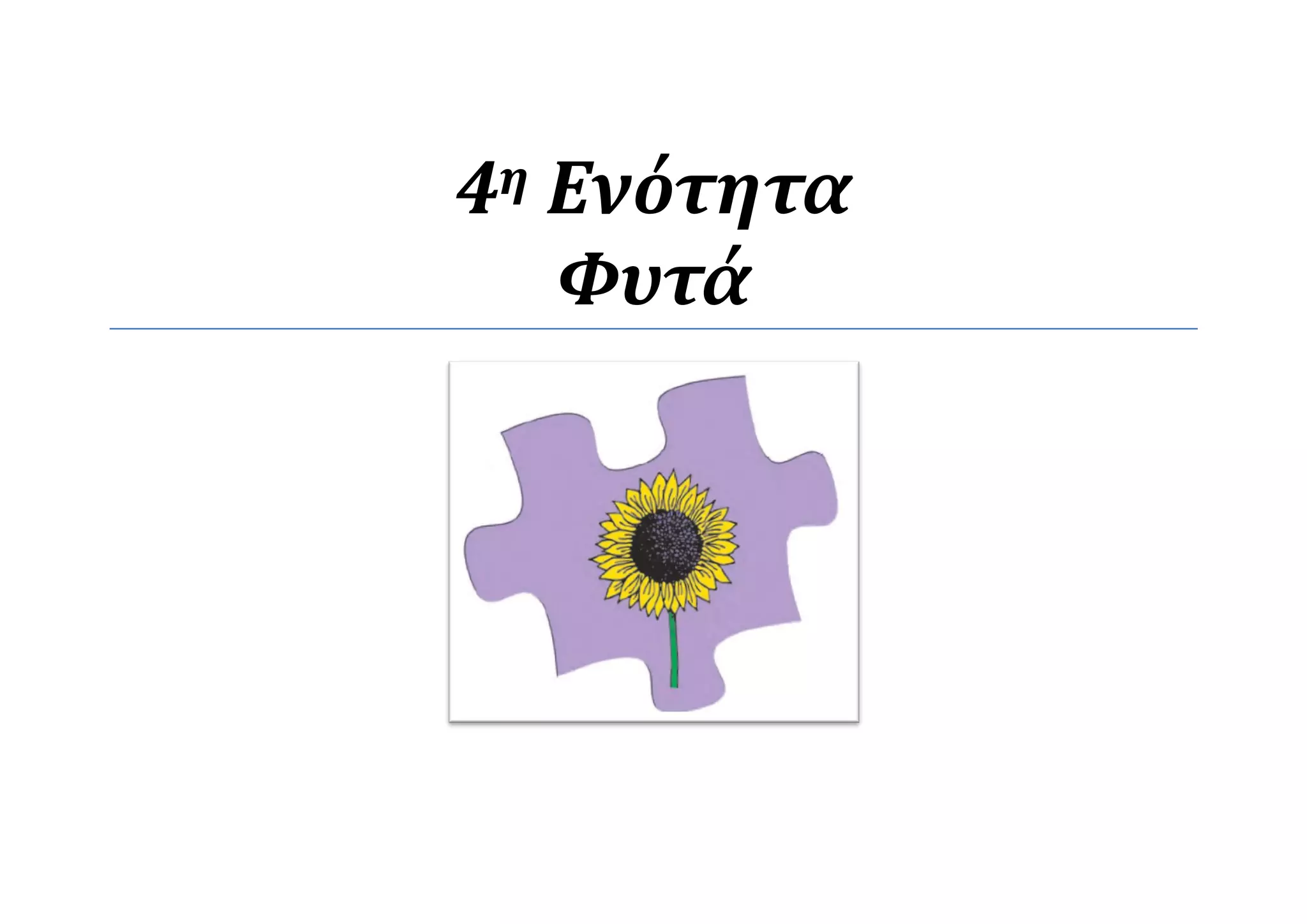 φυσικη στ δημοτικου α΄ τευχος | PDF