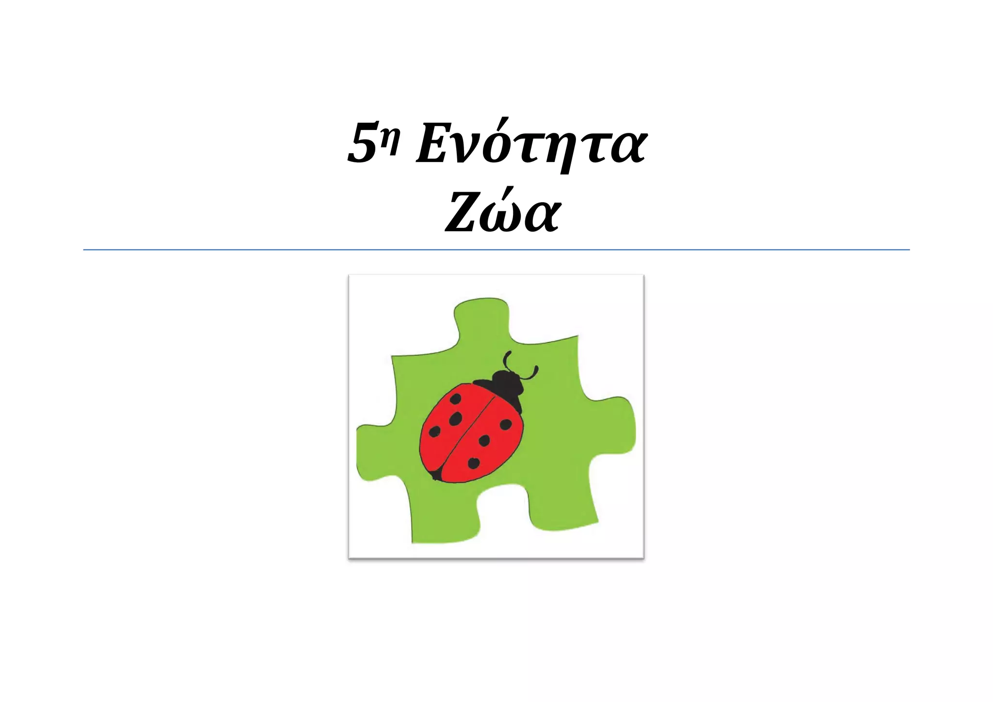 φυσικη στ δημοτικου α΄ τευχος | PDF