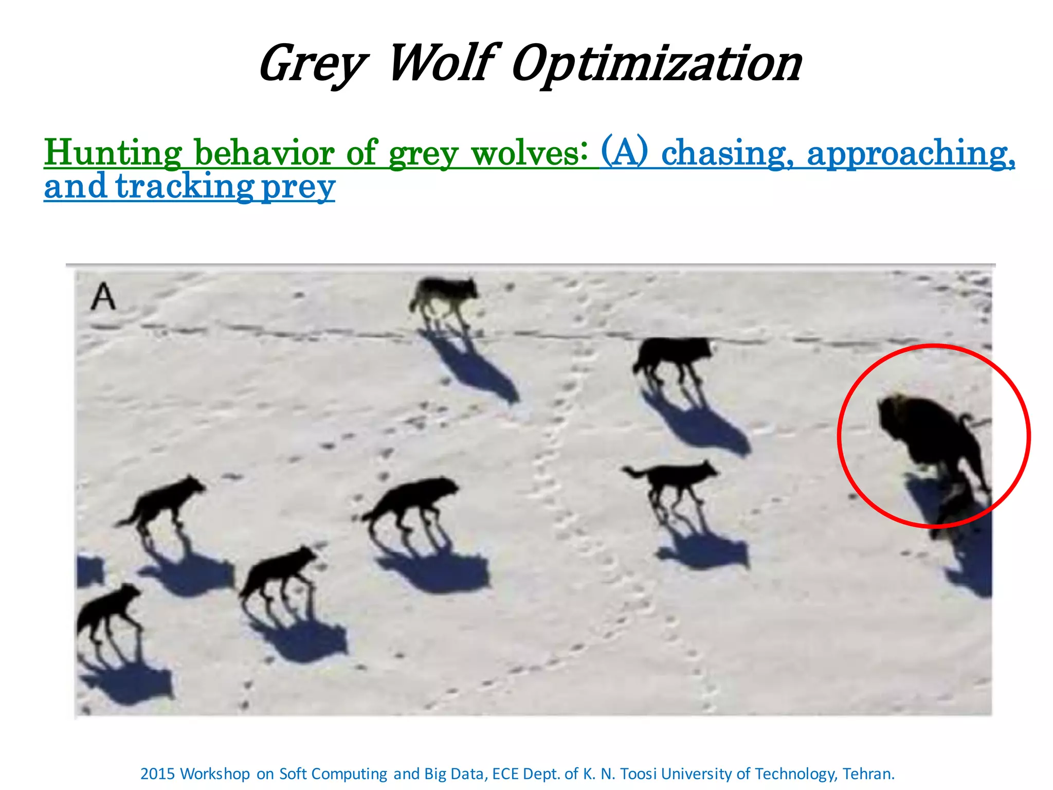 Evolutionary Algorithms Ppt