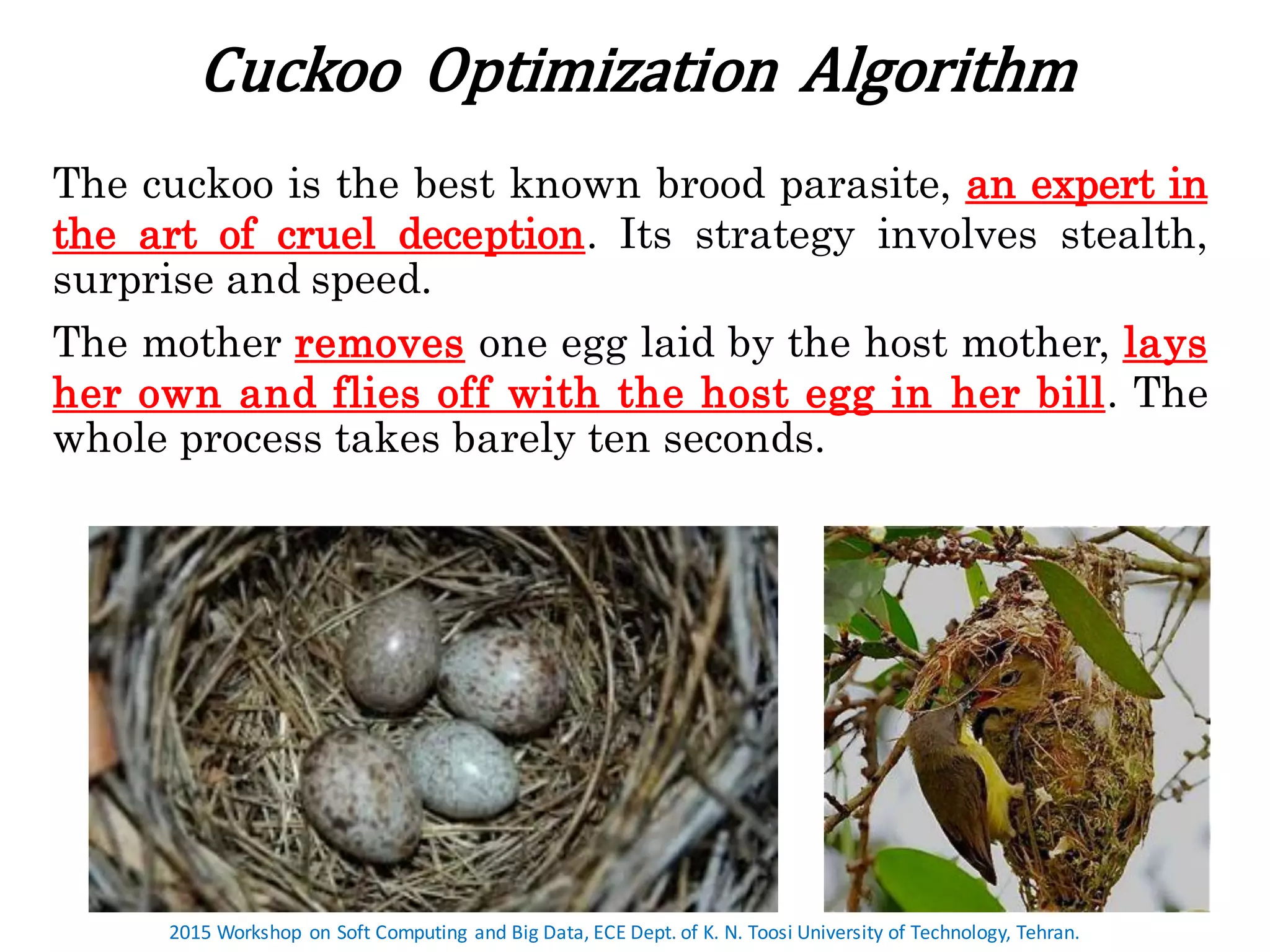 Evolutionary Algorithms Ppt