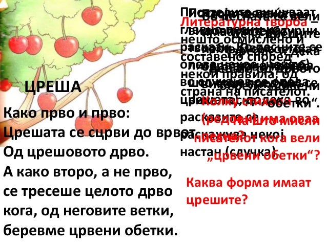 лектира касни порасни