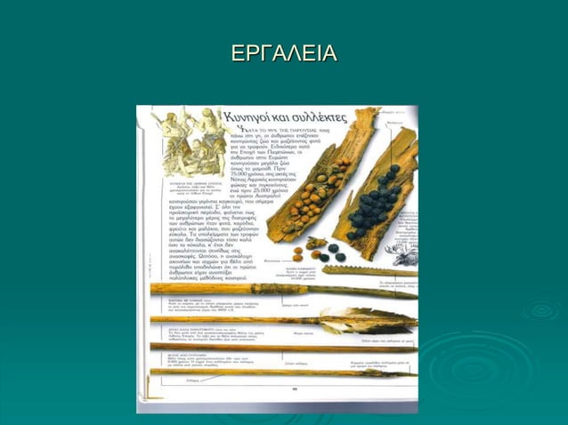 παλαιολιθικη μεσολιθικη εποχη | PPT