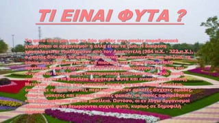 εργασια για τα φυτα τσουγα ζωη μιχαηλιδου μαρια | PPTX
