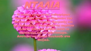 εργασια για τα φυτα τσουγα ζωη μιχαηλιδου μαρια | PPT