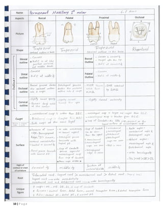 Dental Anatomy _or_ Morphology _ BDS_ ISNC | PDF