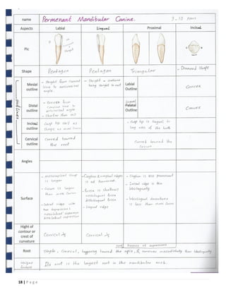 Dental Anatomy _or_ Morphology _ BDS_ ISNC | PDF